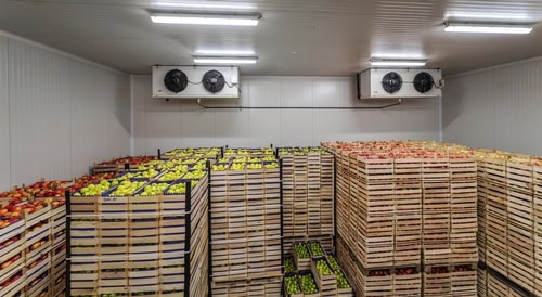 Fully refrigerated cold chains: why can they make such a difference?